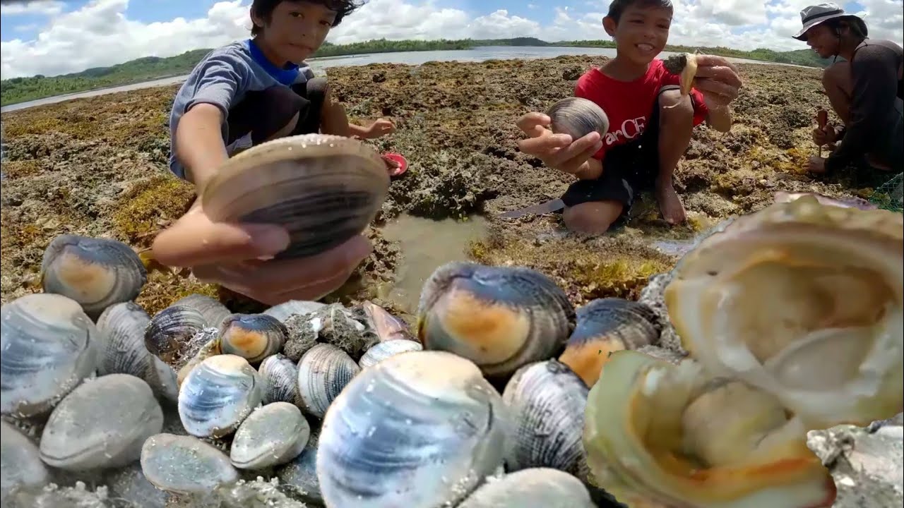 FAMILY ADVENTURE/Pangunguha Ng masasarap na uri Ng mga clams,kainan sa ...