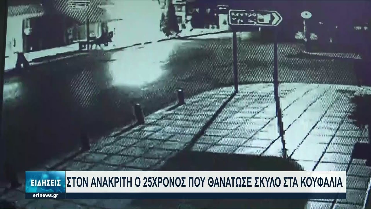 Υπό κράτηση ο 25χρονος που σκότωσε το σκύλο στα Κουφάλια | 23/08/2021 ...
