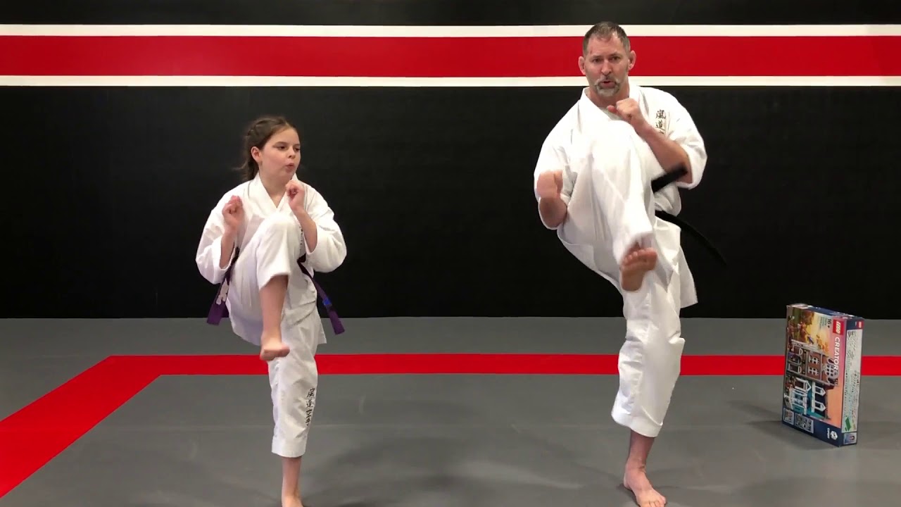 Arashi Do Karate Little Dragons - Class 1 - YouTube