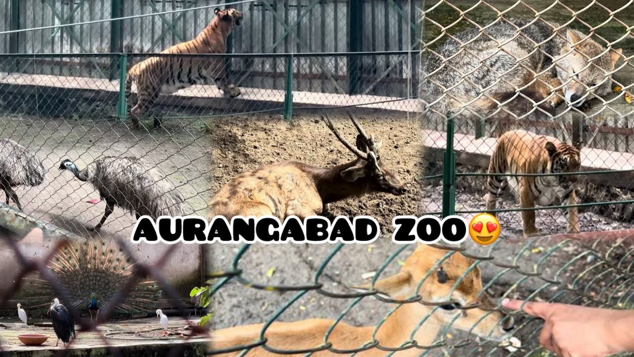 (Pt. 03) A Day in Zoo 😍| Aurangabad Zoo 😍 | Sharmin Shahid Vlog #vlog # ...