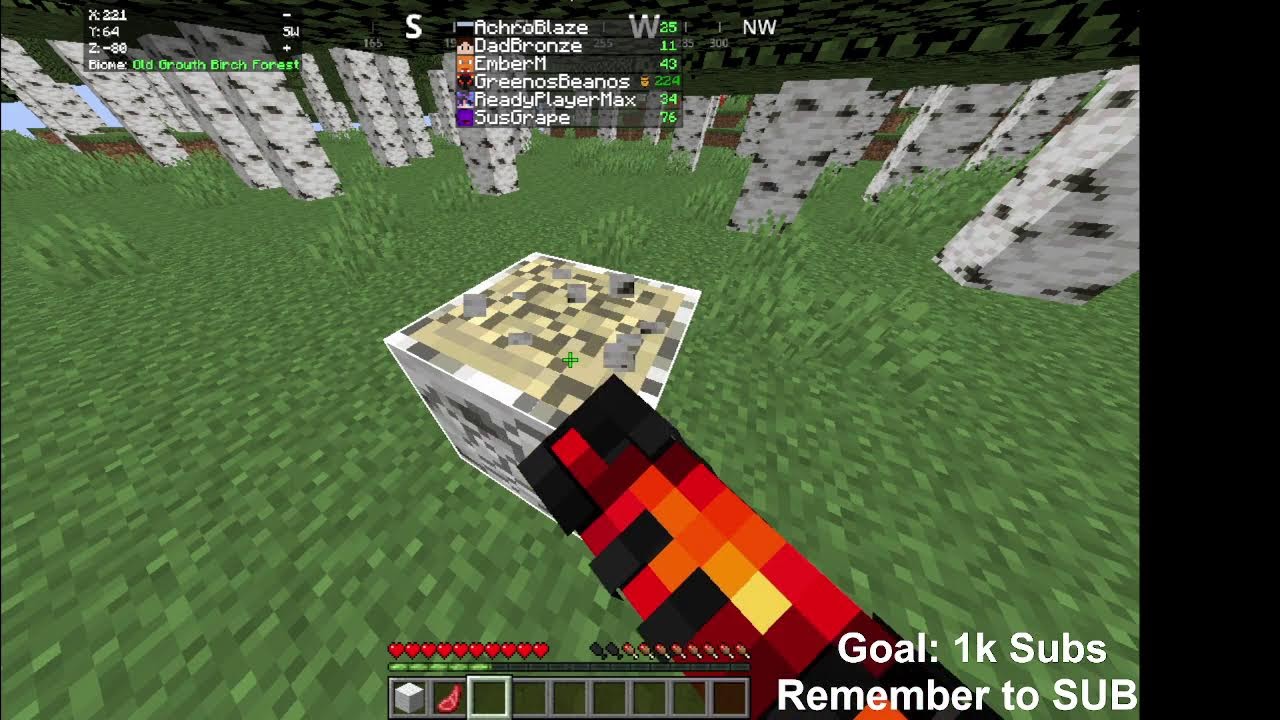 Aspect Smp (season 4 new wipe) - YouTube