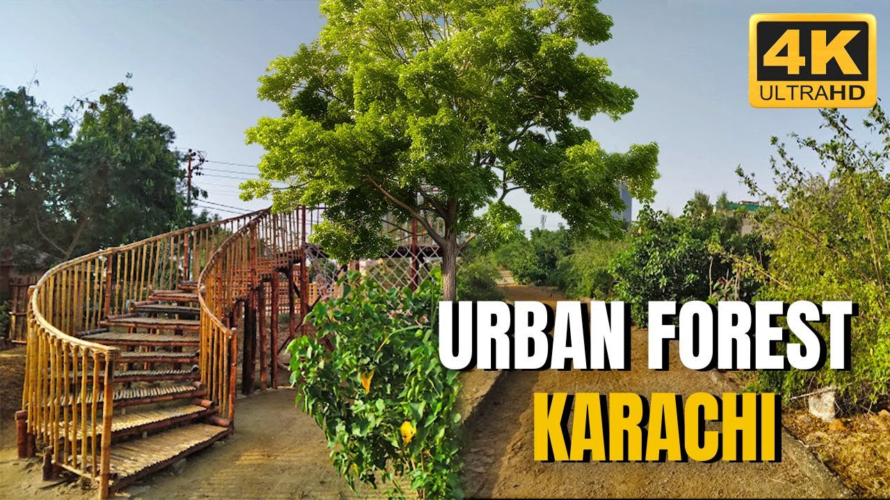 Karachi Urban Forest | Forest in the City | Epic Karachi - YouTube
