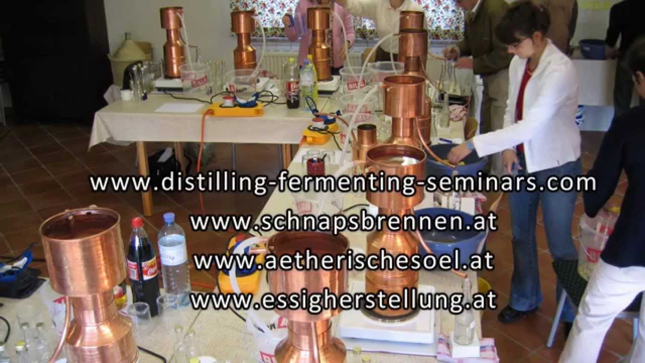 Essential oil distillation - home made oils using steam distillation ...