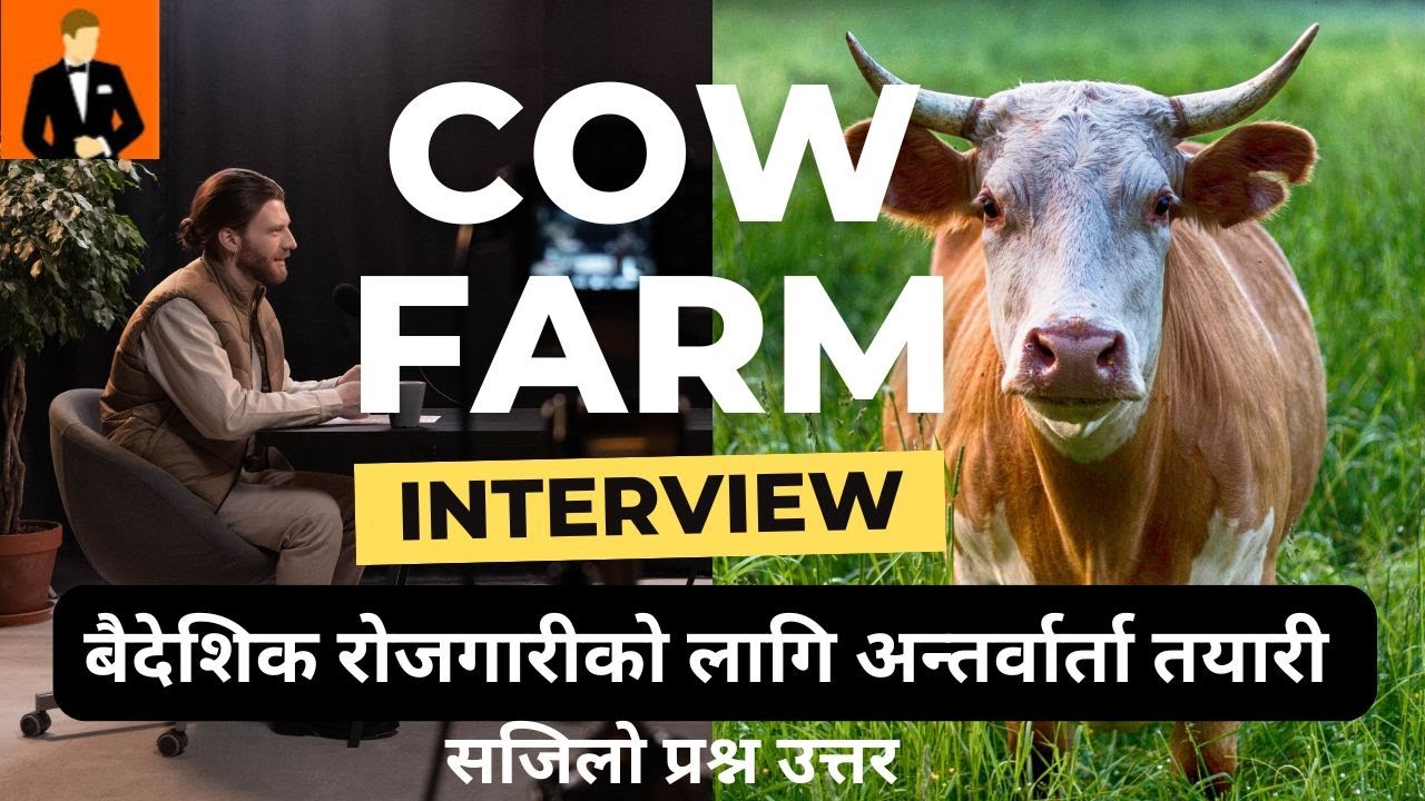 Cow farm interview questions for foreign employment Nepal - YouTube