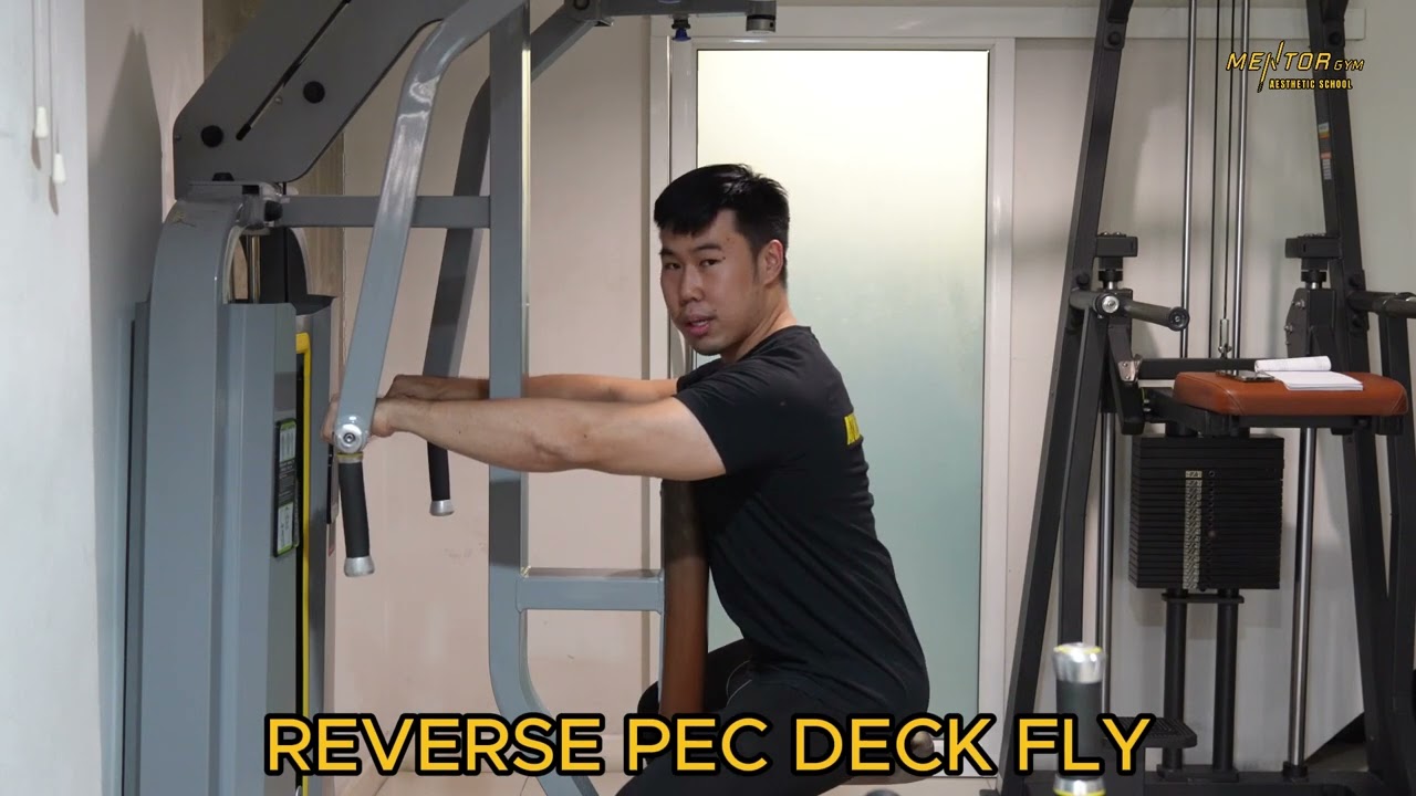 Reverse Pec Deck Flye
