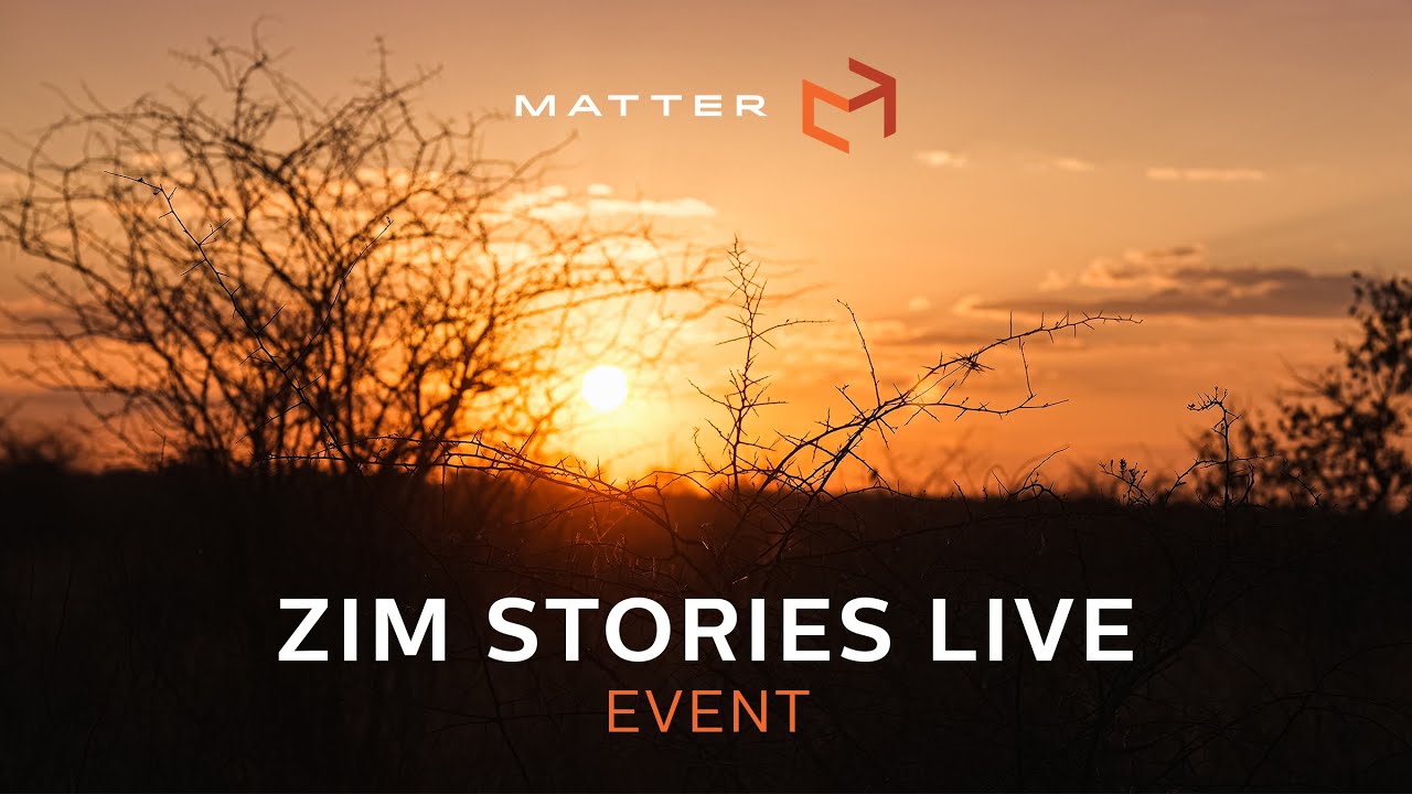 Zim Stories: Live! Highlights - Celebrating the Power of Partnership ...