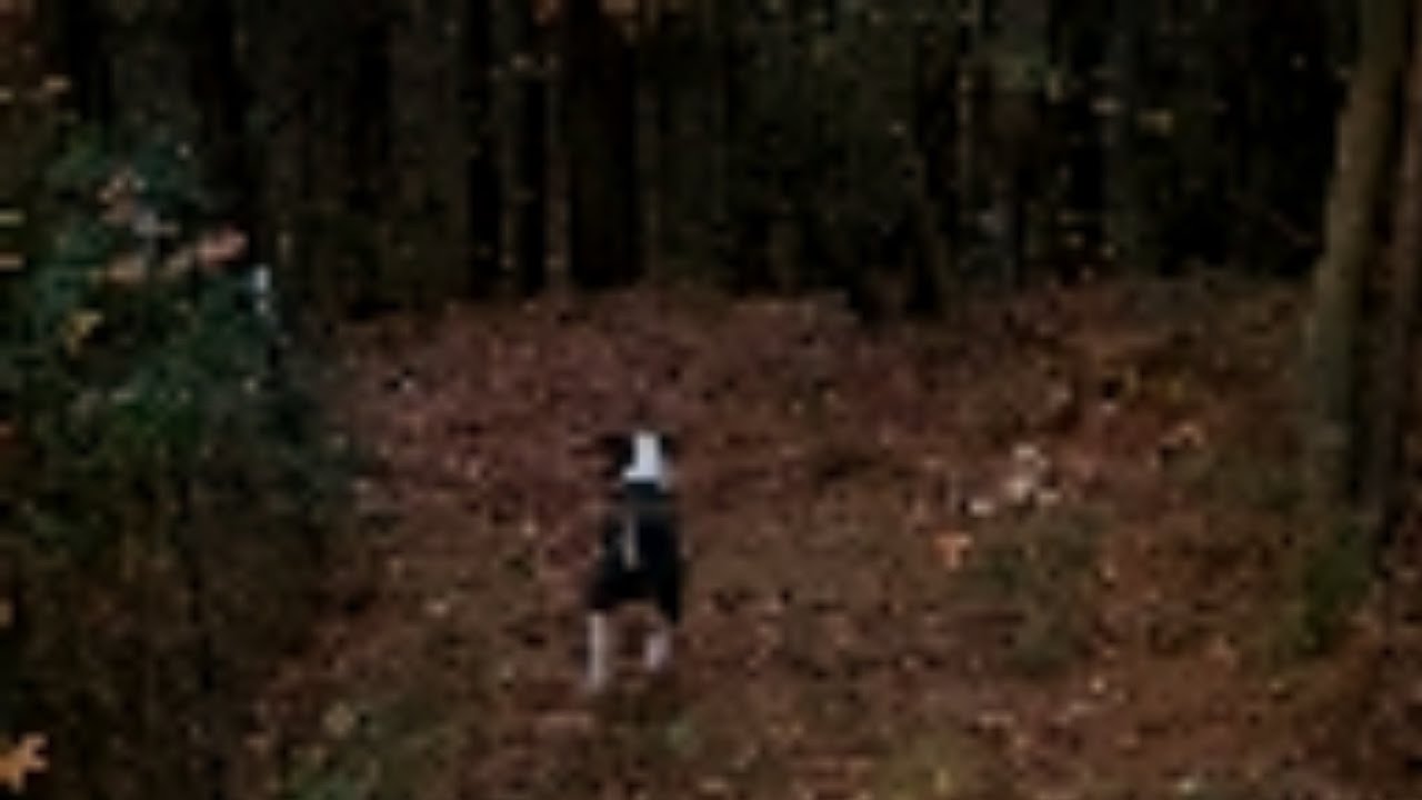 The 100 Foot Snake Story - YouTube