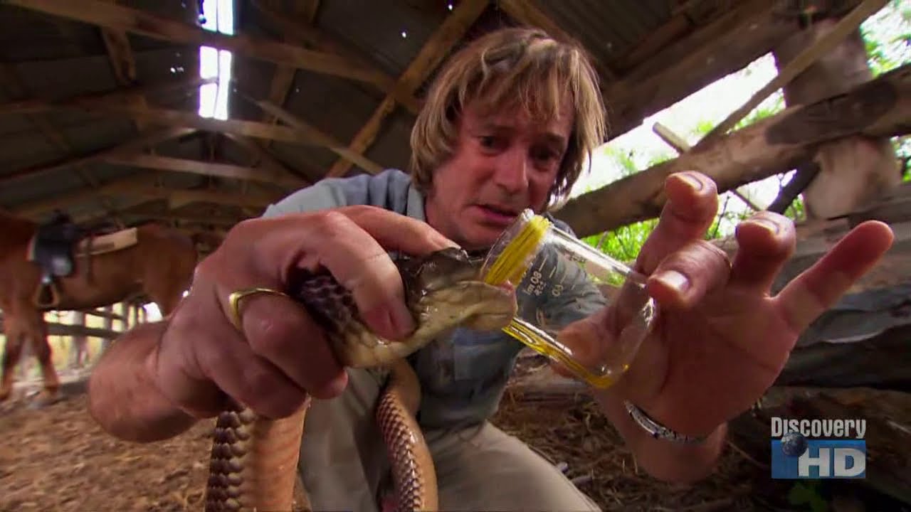 Austin Stevens - Snakemaster - Valley of Snakes - Part 1 - YouTube