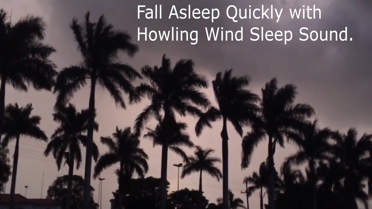 Fall Asleep Quickly with Howling Wind Sleep Sound. - YouTube