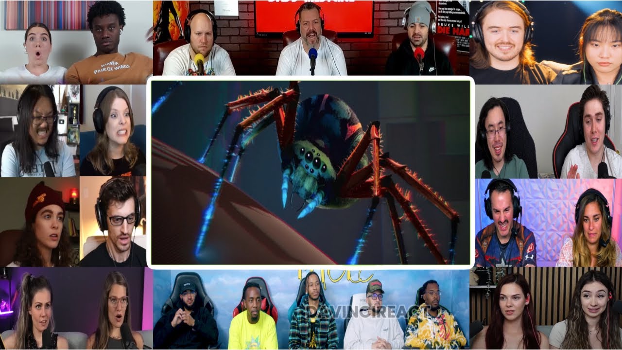 Miles Morales' Spider Bite Scene - Spider-Man: Into the Spider-Verse ...