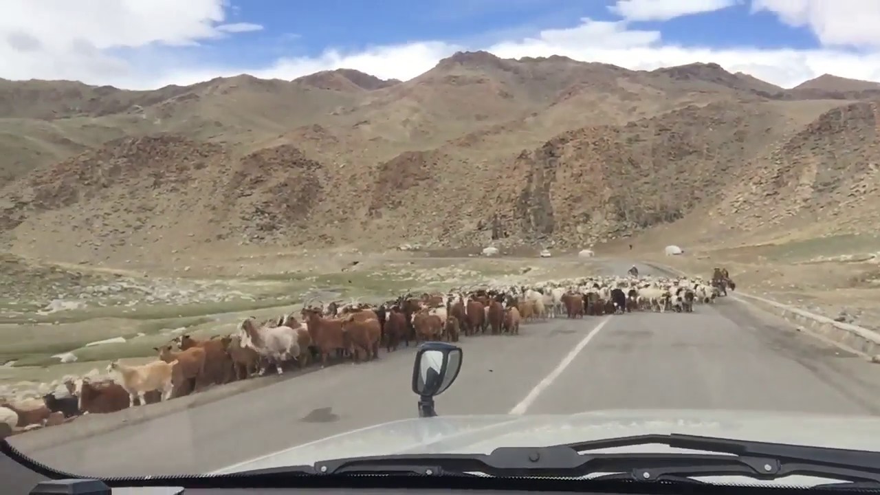 Khovd Aimag Tsesteg sum. - YouTube