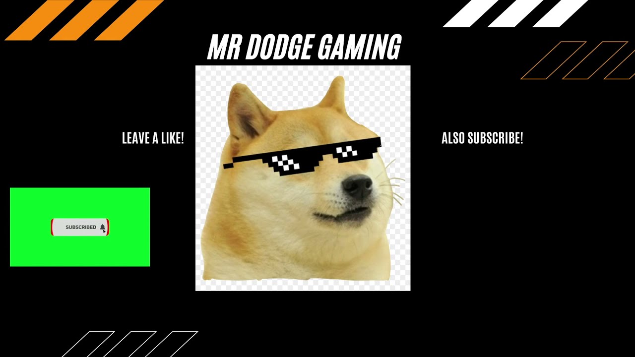 Mr. Doge FIRST VIDEO - YouTube