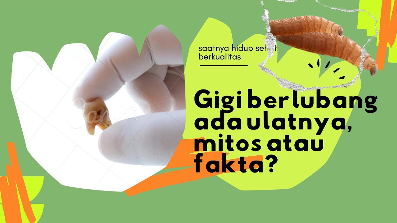 Episode 2: Mitos atau fakta ada ulat di dalam gigi berlubang - YouTube