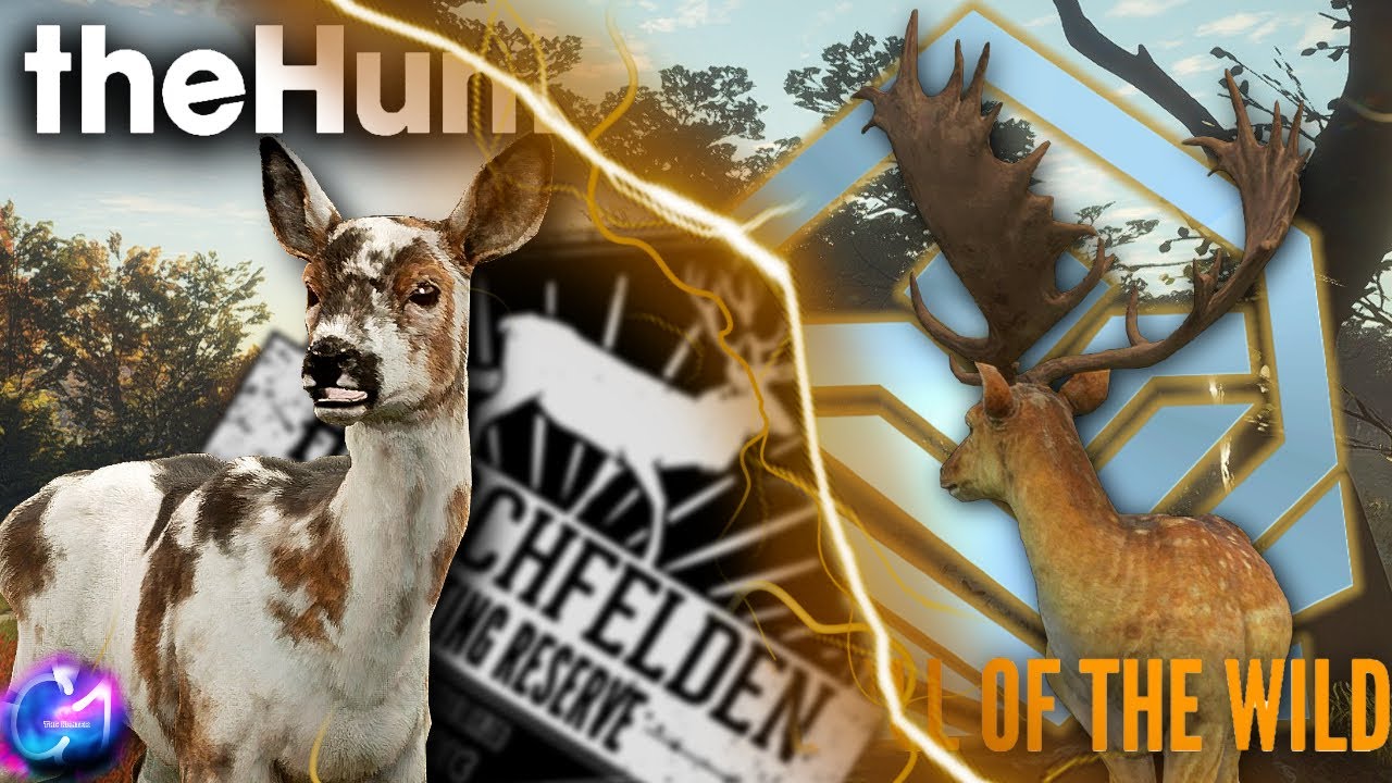 Our BIGGEST Max Weight DIAMOND Fallow Deer 270+ And MORE. A Night On ...