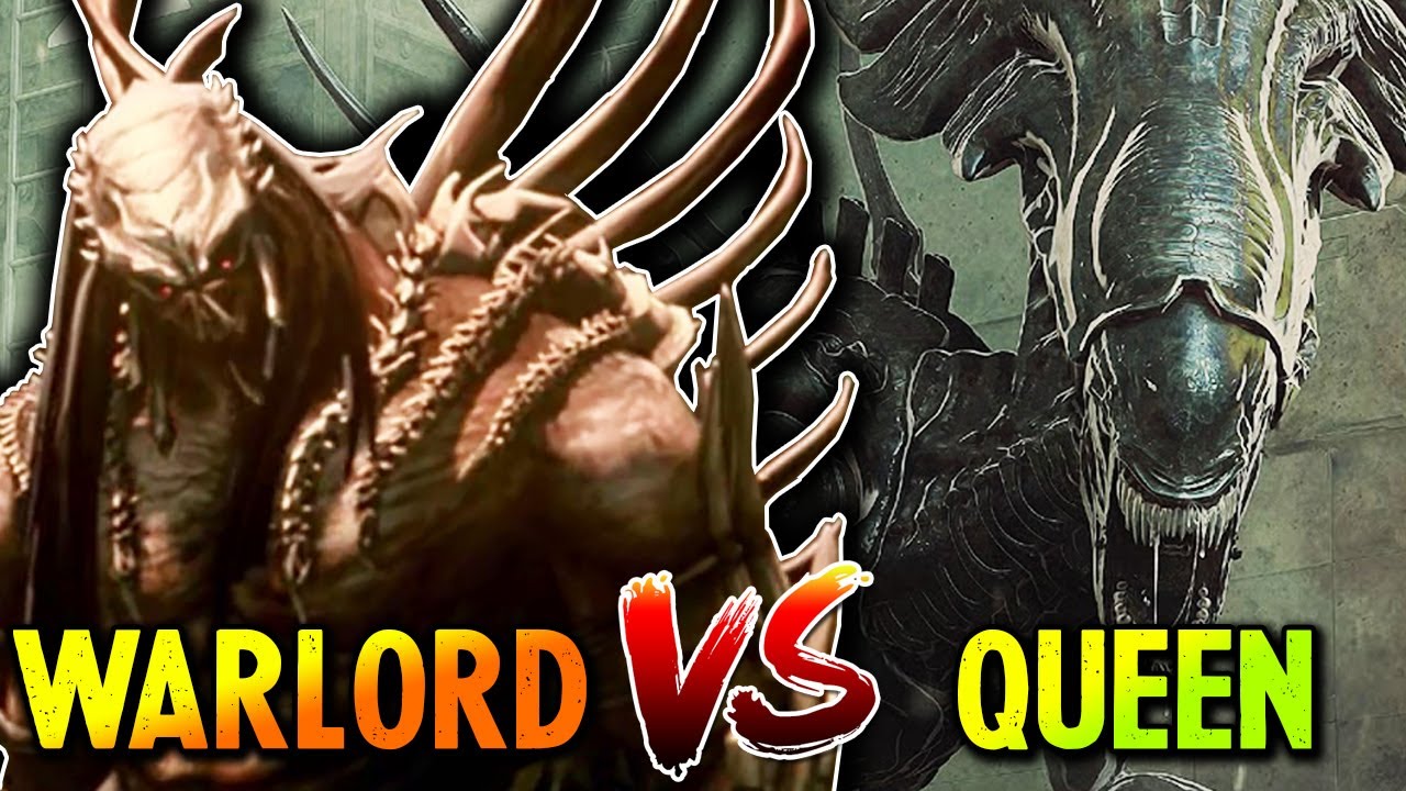 Predator King Vs Alien Queen Alien Queen Vs Alien King