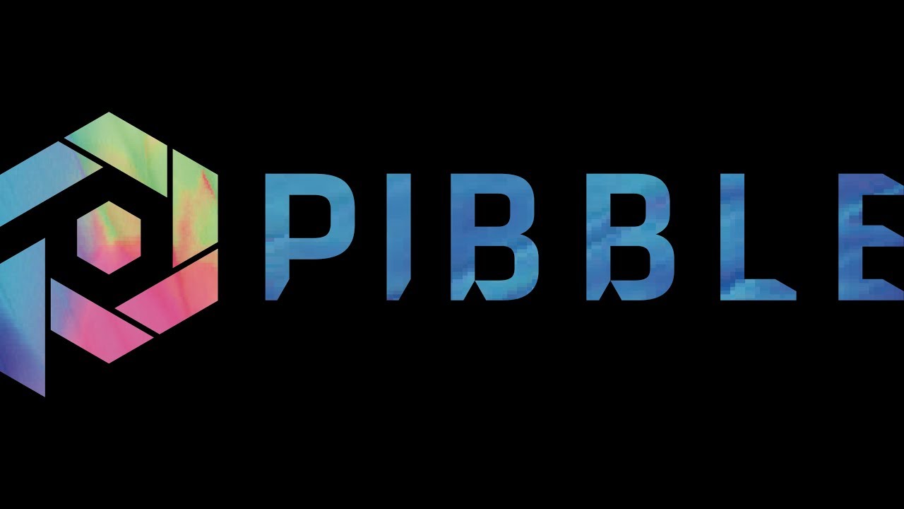 What is Pibble? - YouTube
