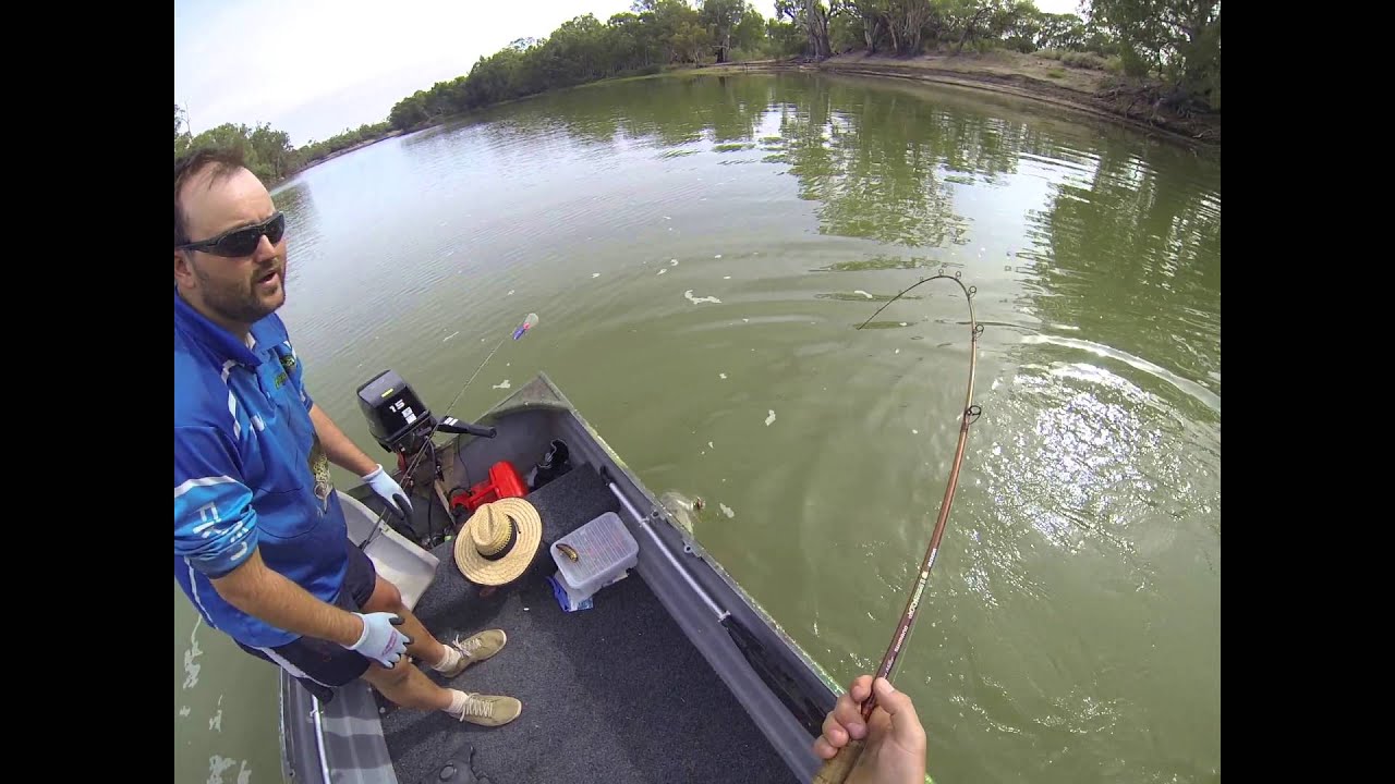 113cm cod on the troll - YouTube