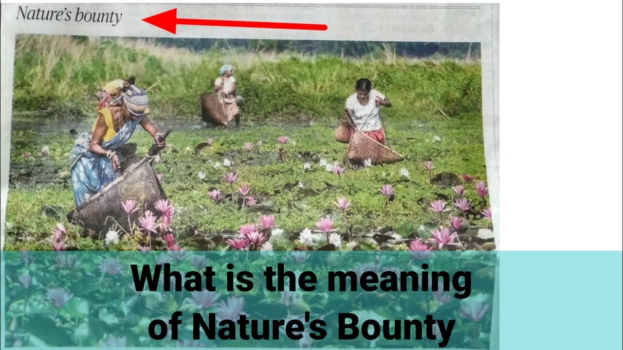 Bounty Meaning in Hindi from the Hindu newspaper - YouTube