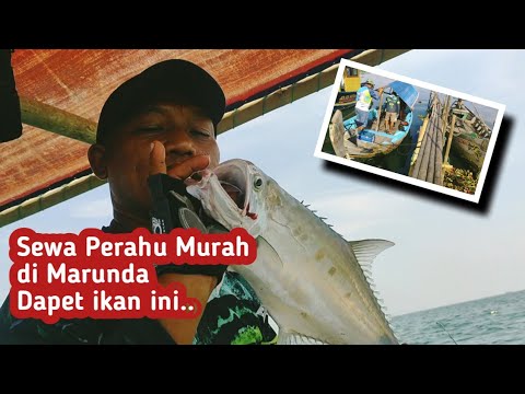 Sewa Perahu Murah di Marunda | Spot Mancing Pulau Damar | Capten Roni ...