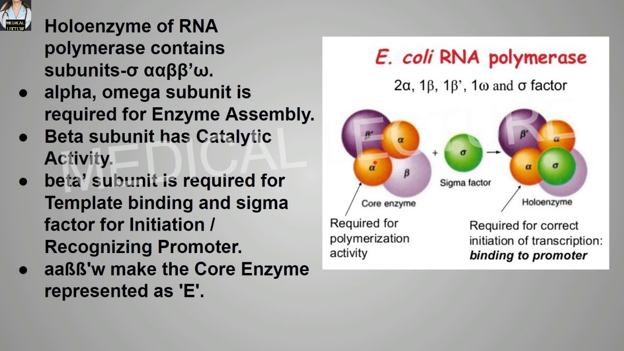 BIOCHEMISTRY IMP NOTES TO SOLVE MCQs & ONE LINERS || PART:44 || MEDICAL ...