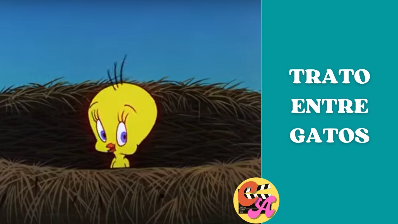 PIOLIN Y SILVESTRE - TRATO ENTRE GATOS - Clásico Animado de 1959 - YouTube