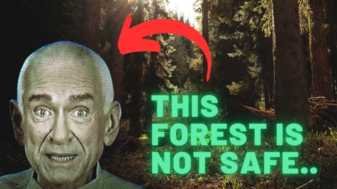 There is a cult in this forest... - YouTube