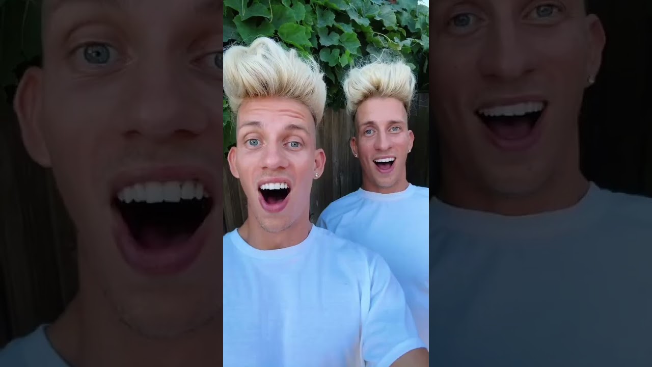6 more Da Vinki Twins! #shorts - YouTube
