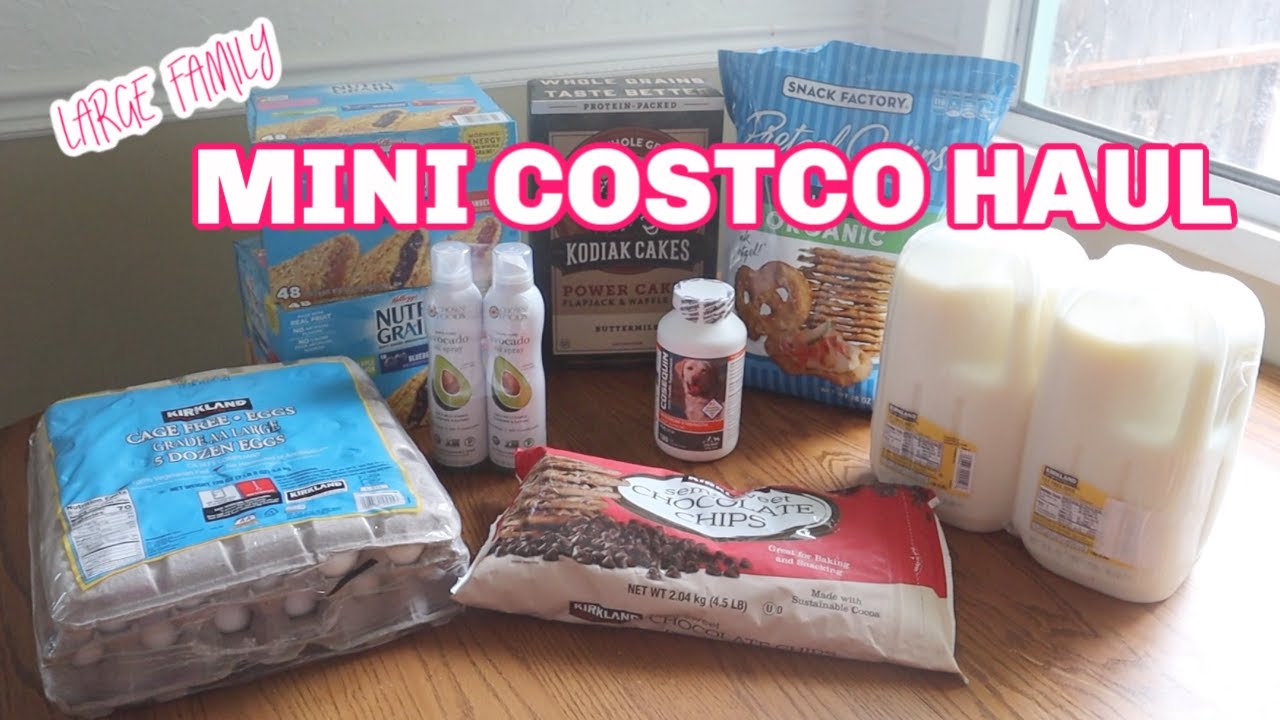 🚗MINI COSTCO HAUL | UNPLANNED GROCERY TRIP | LARGE FAMILY - YouTube