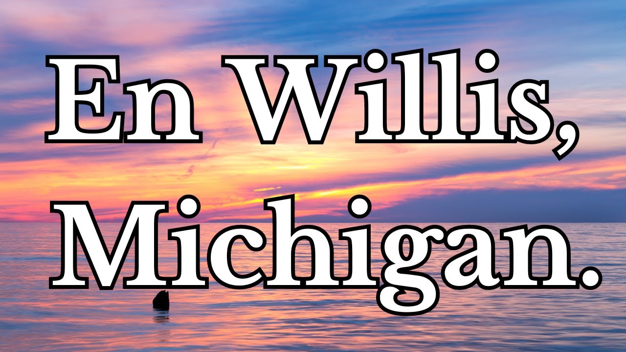 **En Willis, Michigan: El impactante suceso que nadie vio venir** - YouTube