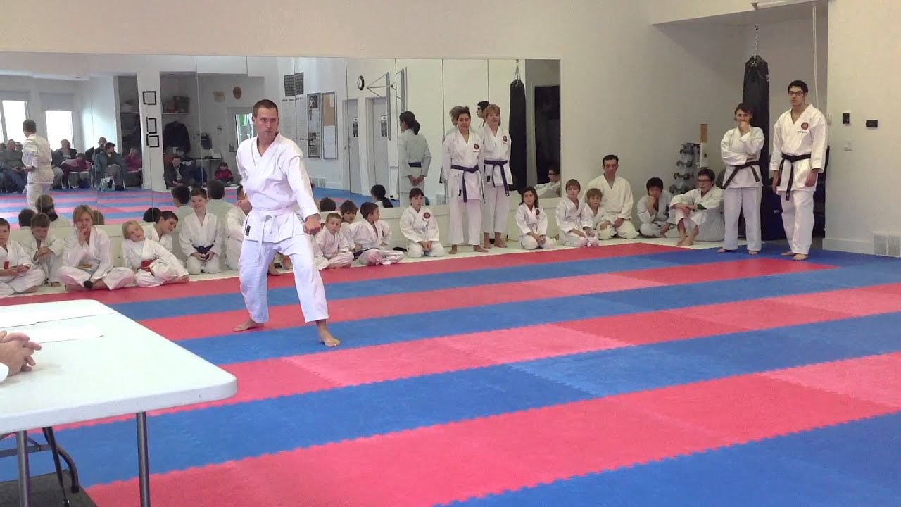 8th Kyu Test: Basics, Heian Shodan, Sanbon Kumite | Sensei Ron Porath ...