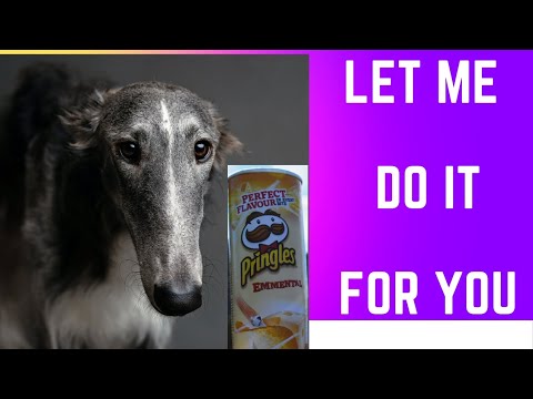 let me do it for you, let me do it for you meme, borzoi dog, meme, didn ...