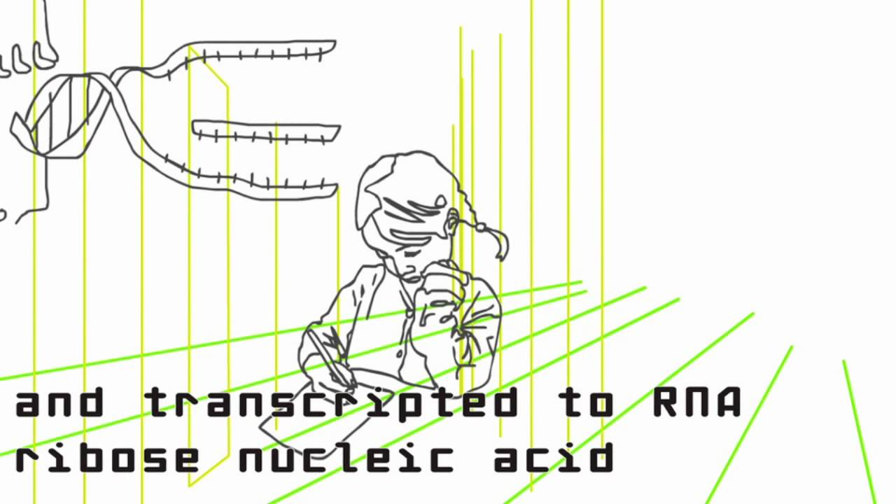Gene Expression Infographic - YouTube