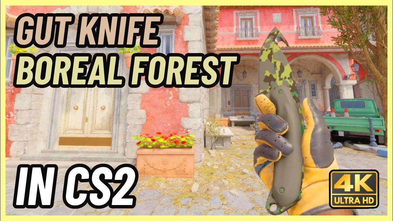 CS2 Gut Knife Boreal Forest | CS2 Knife In-Game Showcase [4K] - YouTube