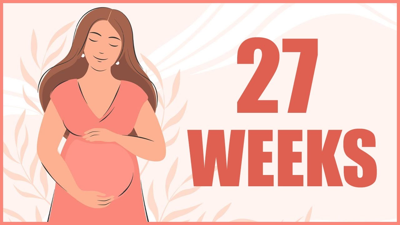 27 Weeks Pregnant – Baby Size and Position | Movement and Symptoms ...
