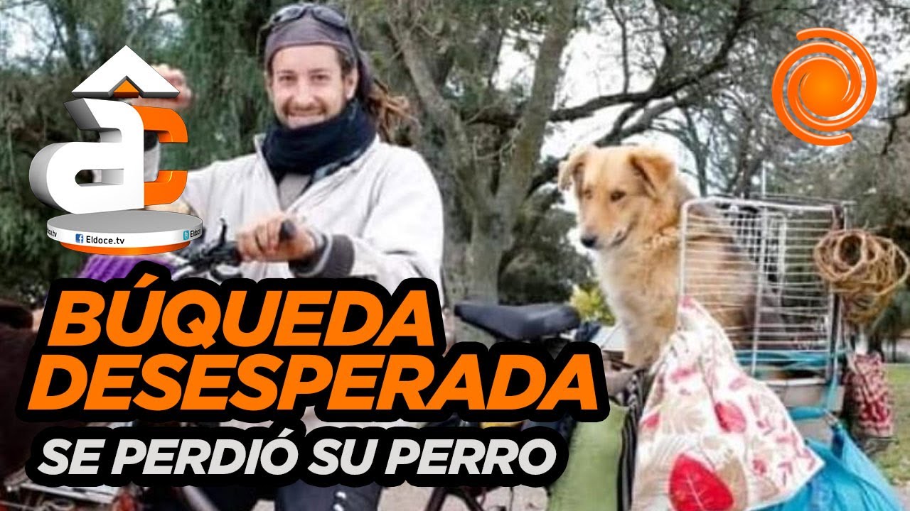 Toto El Perro La Historia De Otto, El Perro Cordobés Que Los Domingos