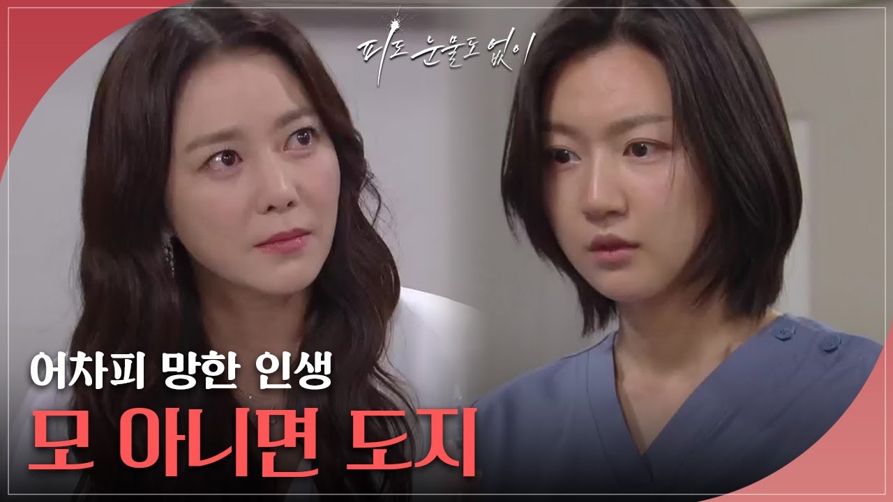 이소연 앞에 주사기를 들고 나타난 하연주?! [피도 눈물도 없이/The Two Sisters] | KBS 240611 방송 - YouTube