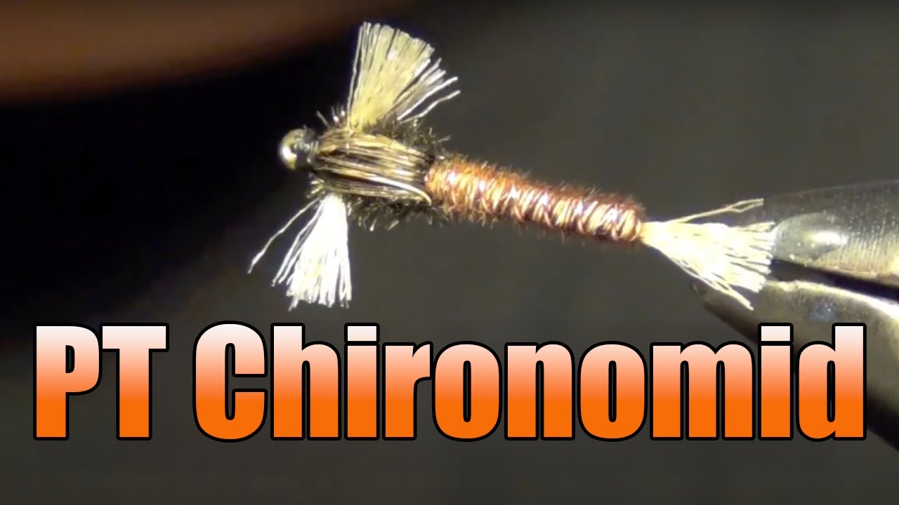 Pheasant Tail Chironomid Midge Larva Fly Tying - YouTube
