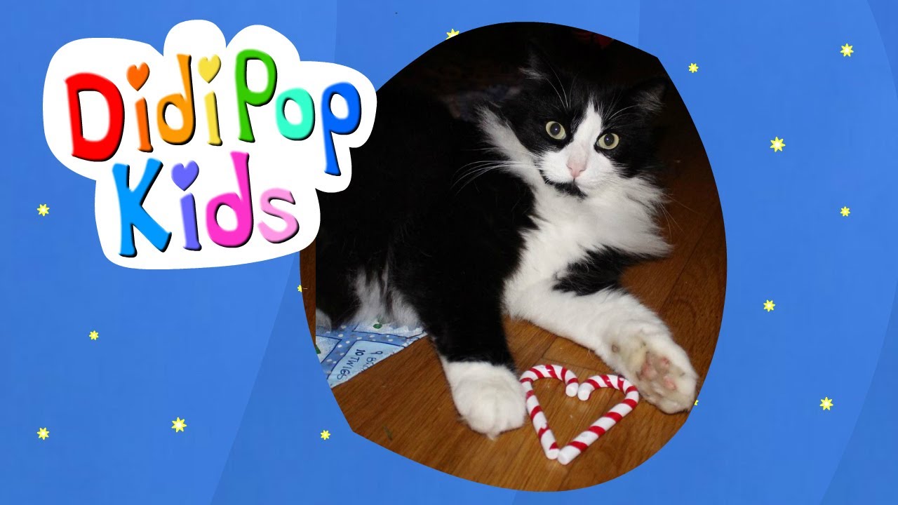 Oceans of Love (Dream) Soothing Lullaby | Cocomelon Cricket Song by ...