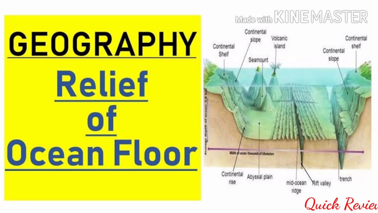 Relief of the OCEAN |Geography series | سمندر کی مختلف سطحیں - YouTube