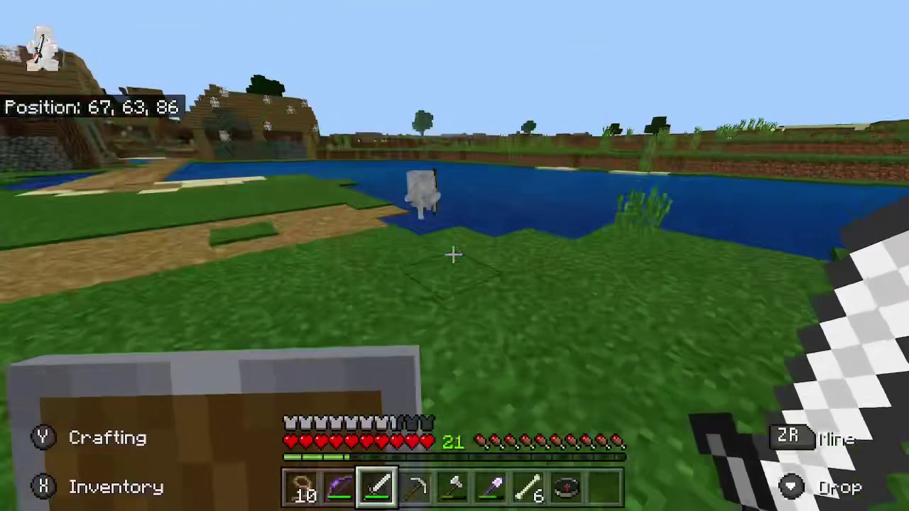 Peaceful Minecraft Skeleton - YouTube