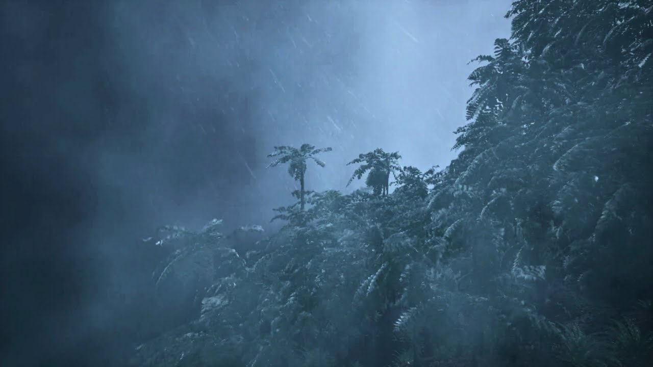 Jungle Rainstorm Ambience 🌧️ Nature’s White Noise for Deep Sleep ...