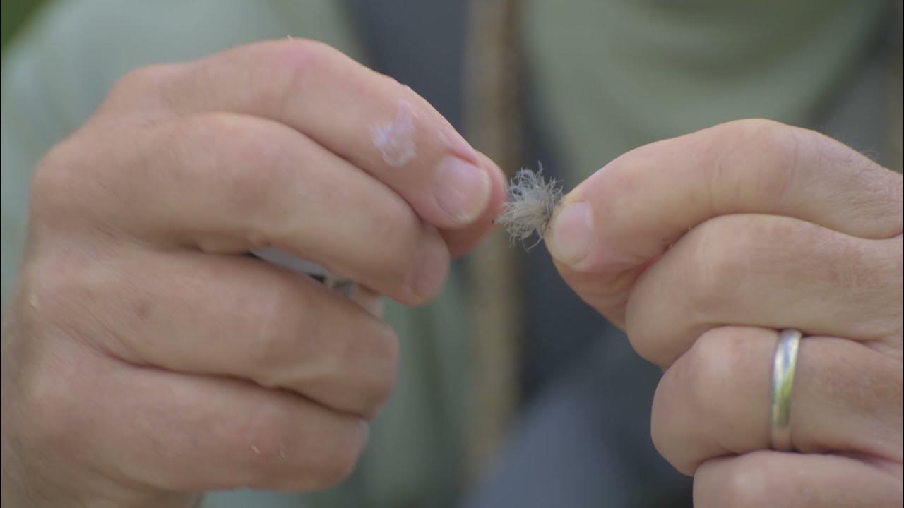 How to Treat a Dry Fly | Tom Rosenbauer - YouTube
