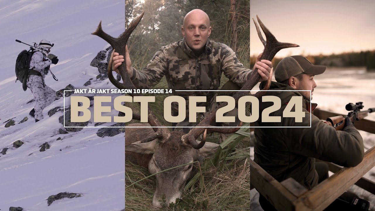 Best of Jaktåret 2024 | Jakt är Jakt - YouTube