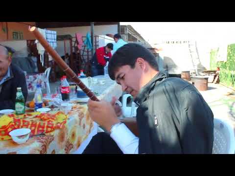 Turkmen culture part 6: Dutar instrument in action