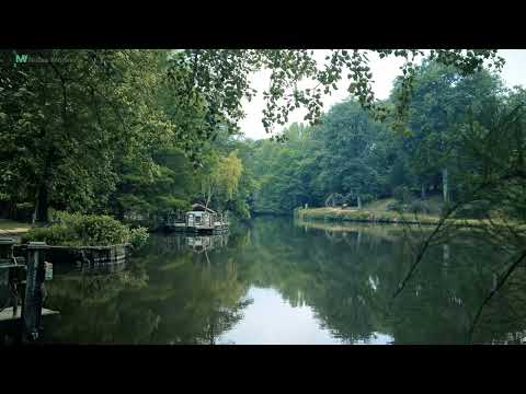 Atatürk Arboretumu | Muhteşem Göl Manzarası ve Kuş Sesleri | Uyku İçin Doğa Sesleri | ASMR 4K