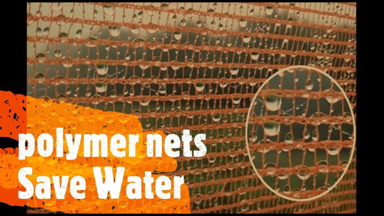 UAE and installation of polymer nets (fog nets) for the production of ...