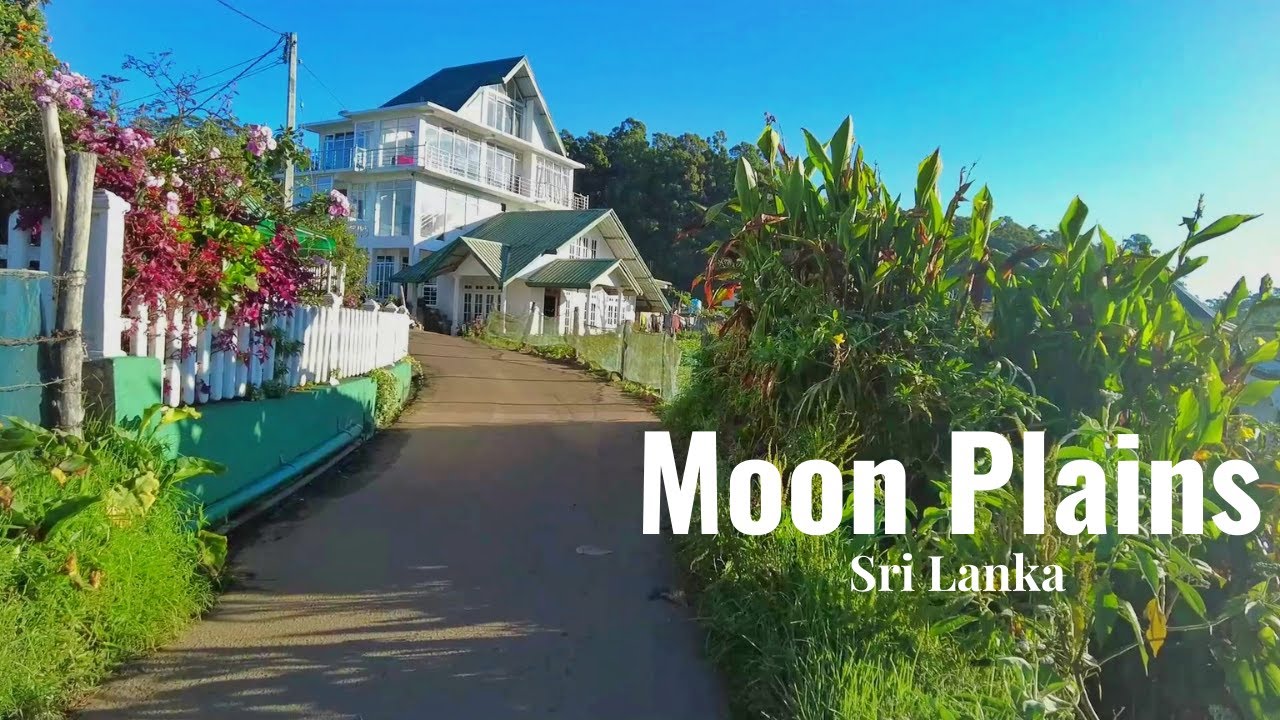 Moon Plains | Moon Plains Nuwara Eliya Silent Walking Tour | Moon ...