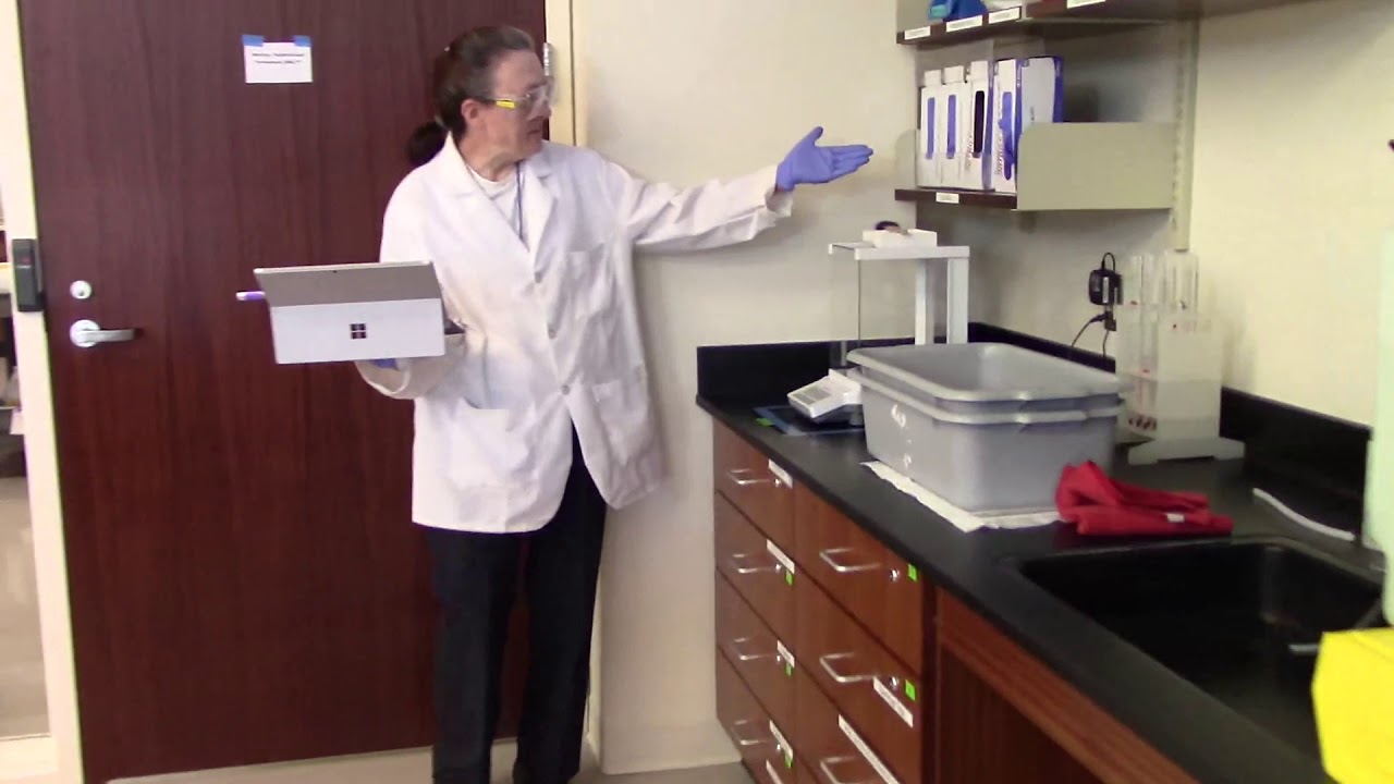 CHEM 101 LAB 1 - YouTube