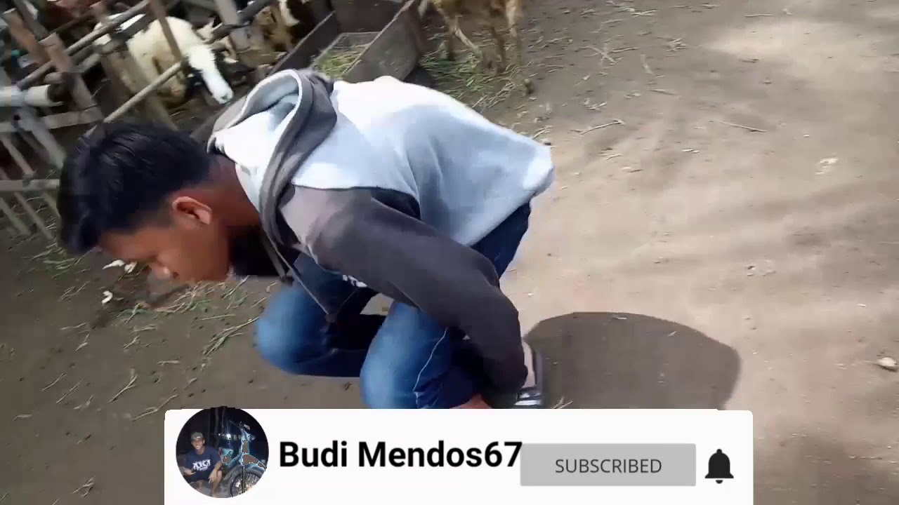 REVIEW Bebek Tiet mesin Poswan🏁 - YouTube