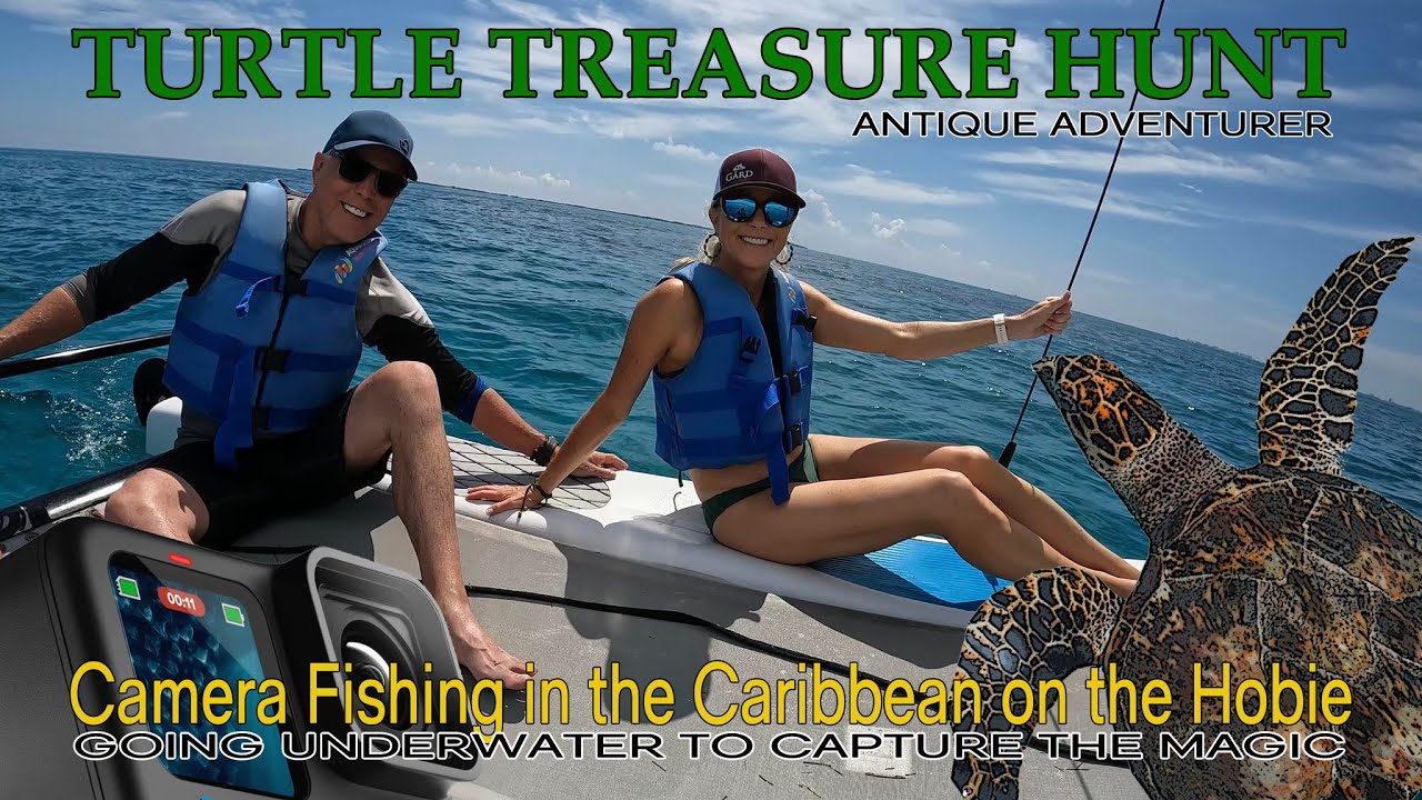 Turtle Treasure Hunt off the Yucatan Peninsula - YouTube